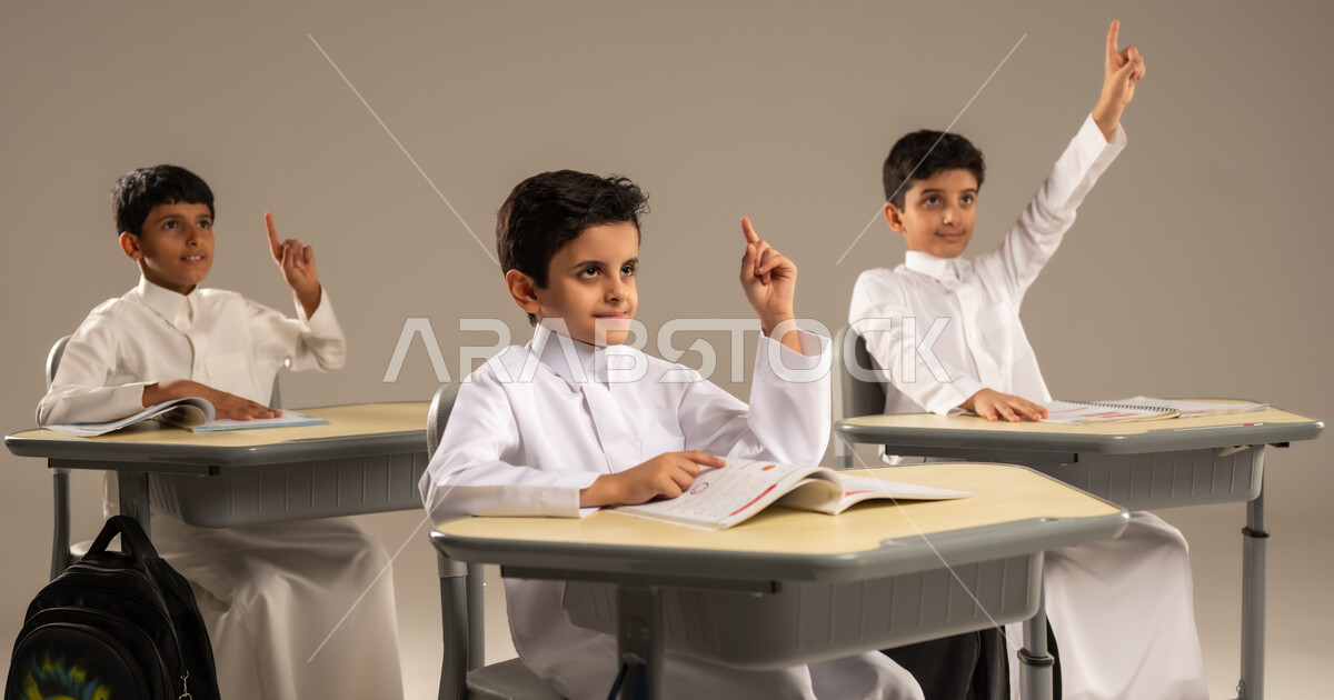 Education goals in Saudi Arabia, effective learning methods and ...