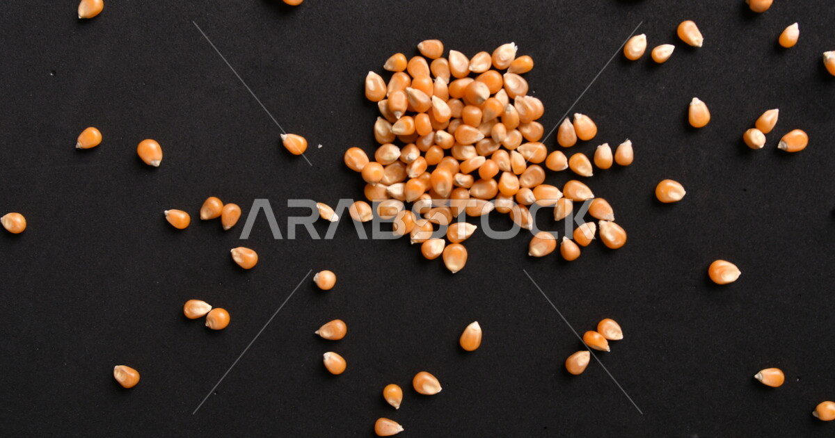 Picture of corn kernels depicted on black background, golden dried corn ...