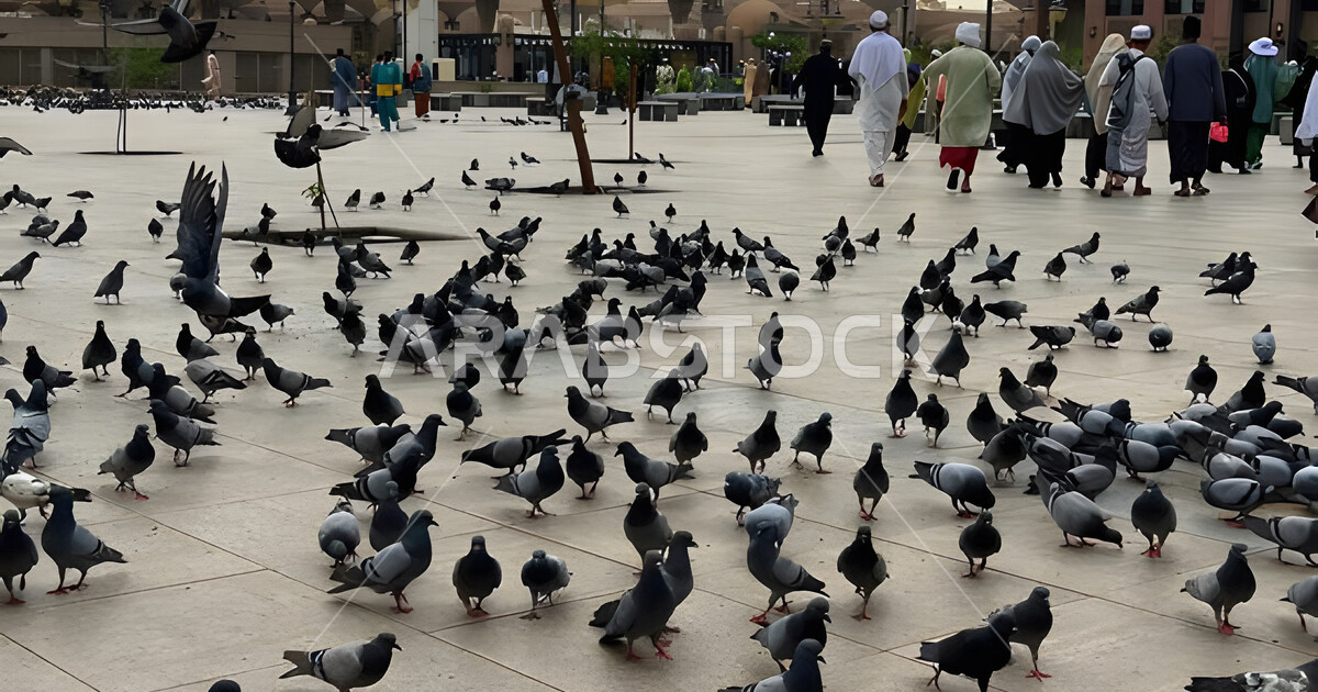 Sacred Islamic religious places and landmarks in the Kingdom of Saudi ...