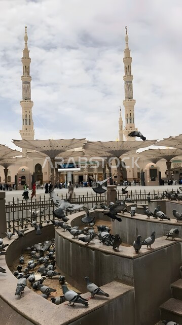 View of pigeons and birds in the courtyard External, Minarets of the ...