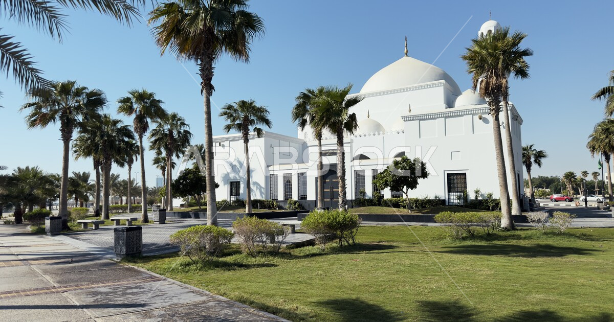 الاهتمام بزراعة الأشجار والنباتات الخضراء في المملكة العربية السعودية ...