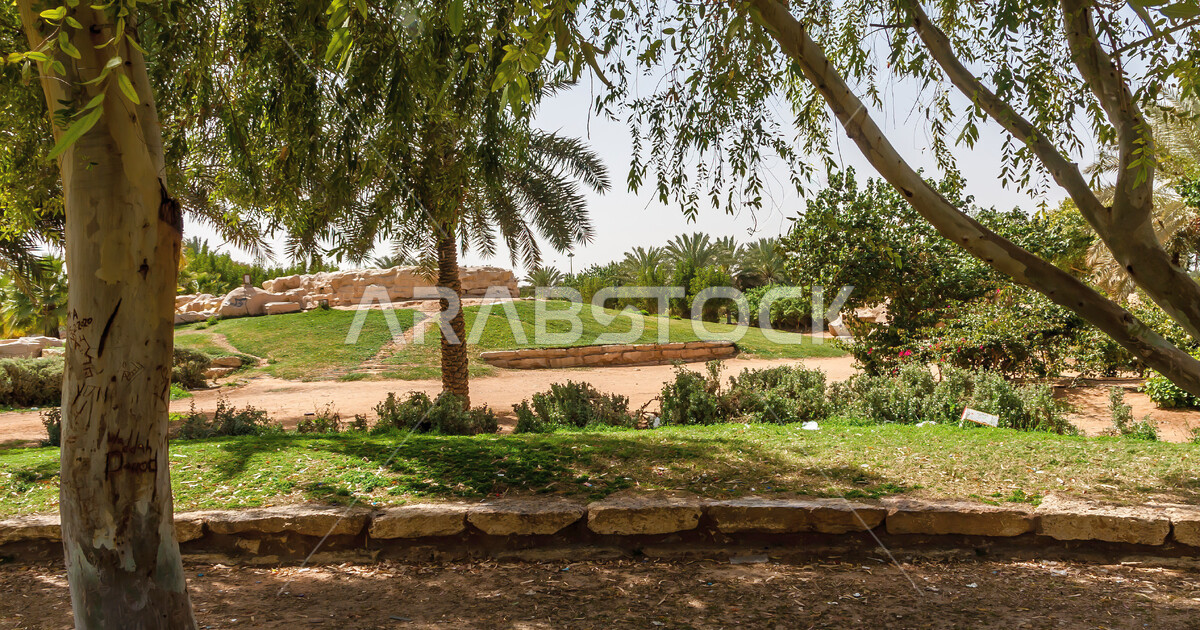 الاهتمام بزراعة النباتات والأشجار ، حديقة ولي العهد بالمعذر بالرياض ...