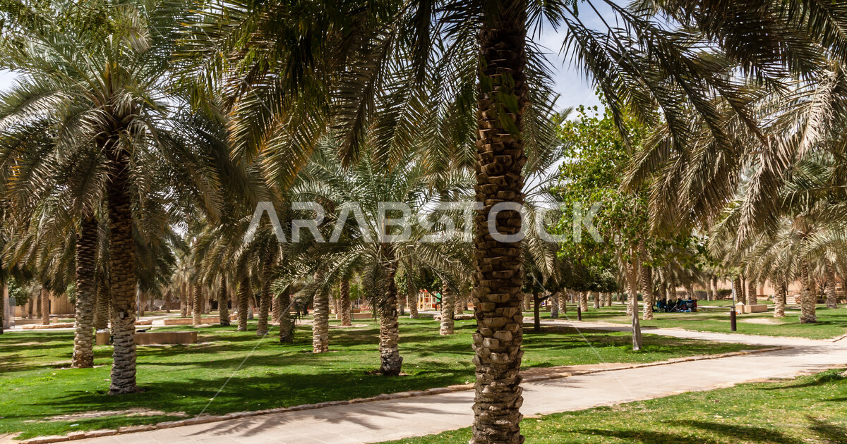 المنتزهات الترفيهية العامة، الاهتمام بزراعة النباتات وأشجار النخيل ...