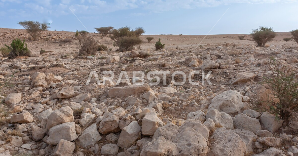 Ancient heritage tourist attractions within the Saudi Arabian desert ...
