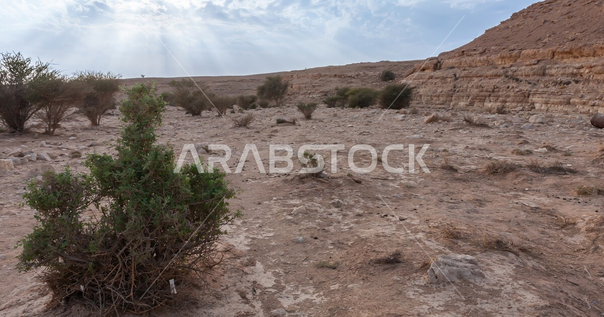 Natural sedimentary mountains, rock formations and formations, famous ...
