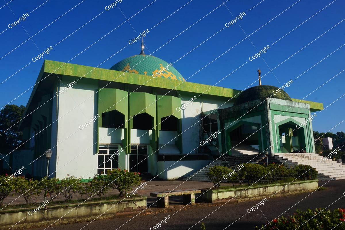 منظر لمسجد وقبته وفي ساحته حديقة - صورة #287491 مكتبة الصور - صور عربية ...