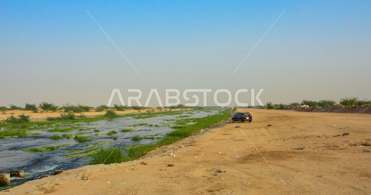 Green plants on the river bank, scenic landscape in Saudi Arabia, clear ...