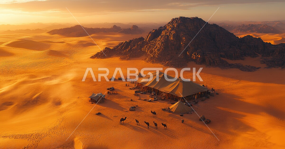 A youth camp and desert session, camping in the deserts of the Kingdom ...