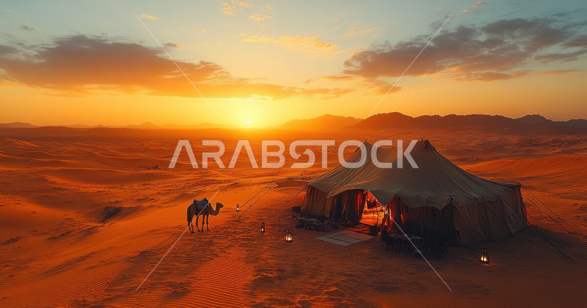 Tourist camps in the wilderness, a popular Bedouin tent in the middle ...