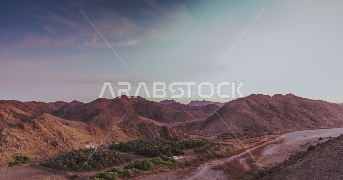 A picture of nature in Jeddah, Saudi Arabia, the beauty of the natural ...