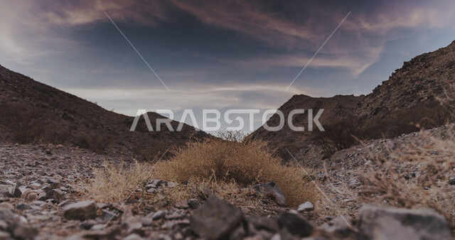 A picture of nature in Jeddah, Saudi Arabia, the beauty of the natural ...