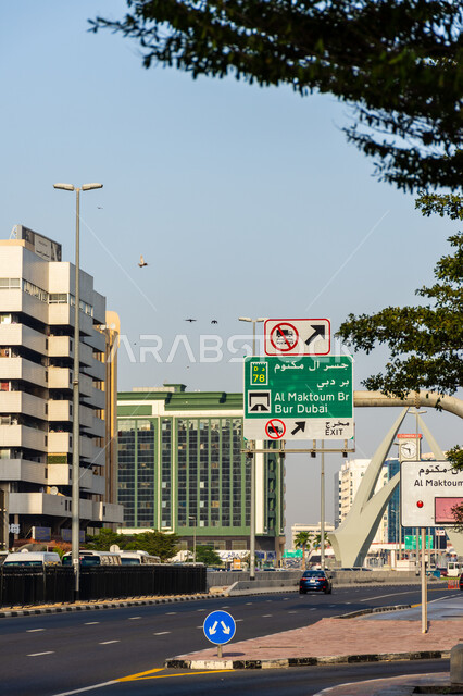 Roads and Transport in the United Arab Emirates, Green directional sign ...