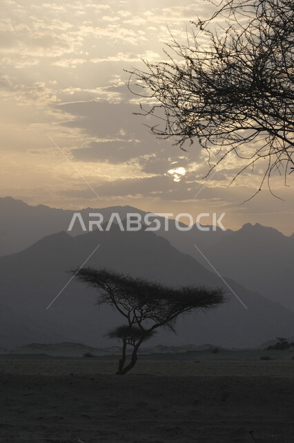 البيئة والطبيعة الجافة والقاسية, التشكيلات والتكوينات والكثبان الرملية ...