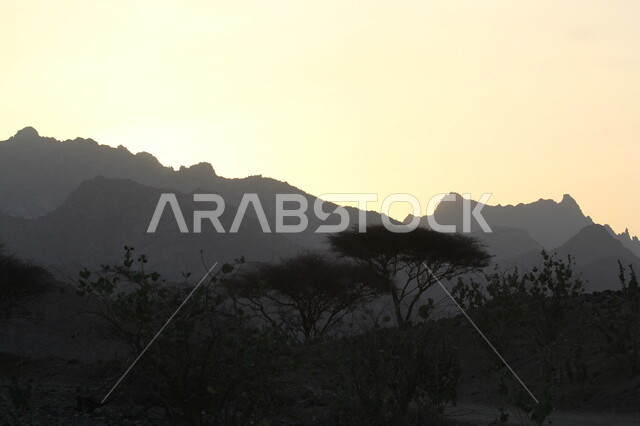 Dry trees and plants on the heights, famous places and landmarks ...