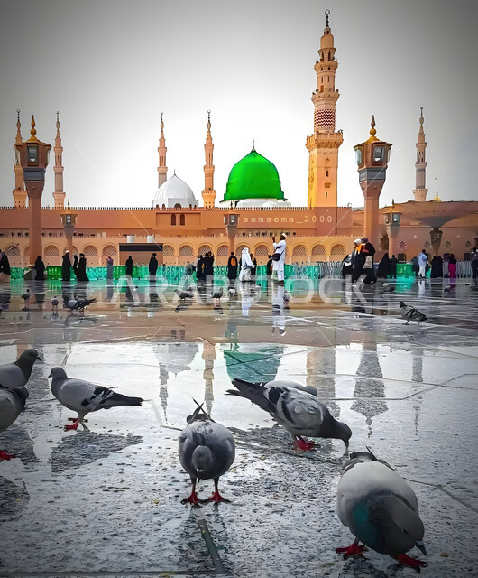 The outer courtyard of the Prophet's Mosque, pigeons in the Prophet's ...