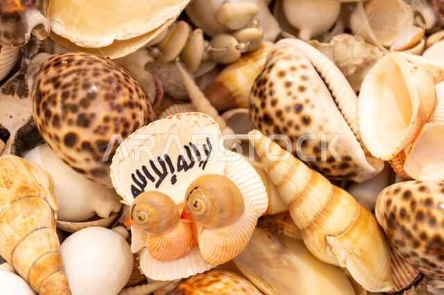 A collection of shells decorated with Arabic calligraphy, the phrase ...