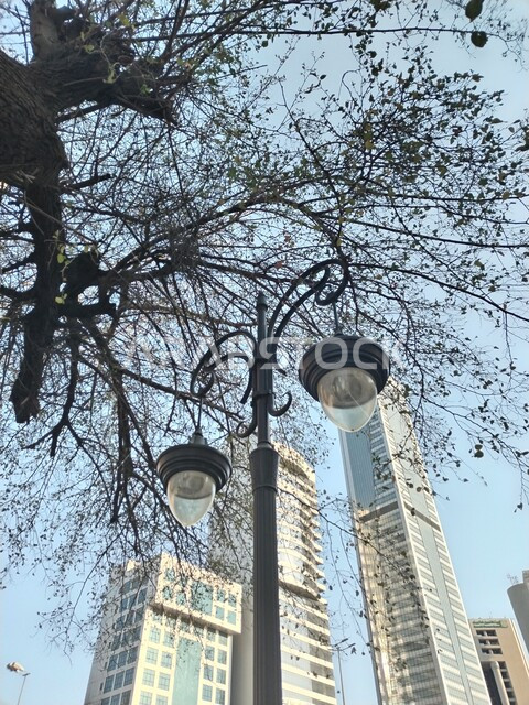 The distinctive modern architectural style of towers and skyscrapers in ...