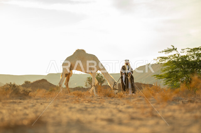 Anniversary of the founding of the first Saudi state in 1727 AD ...