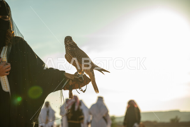 Raising a bird of prey, the anniversary of the founding of the first ...