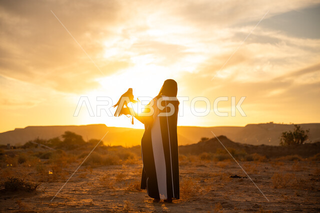 The importance of falcons in Saudi history, women raising birds of prey ...