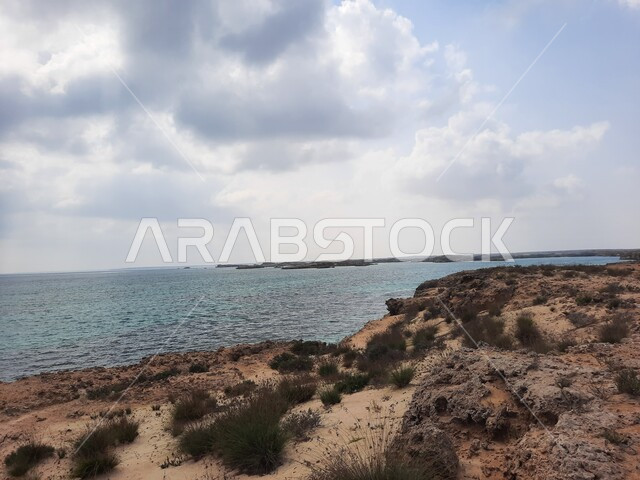 A place for a recreational sea trip and tour, the growth of wild and ...