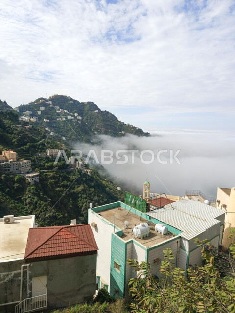 مكان ومنطقة سياحية طبيعية، الأشجار والنباتات والمساحات الخضراء ...