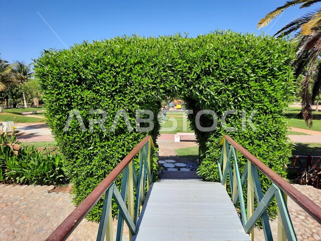 ممر التجول والمشي في منتزه بحيرة ينبع في النهار، الاهتمام بزراعة ...