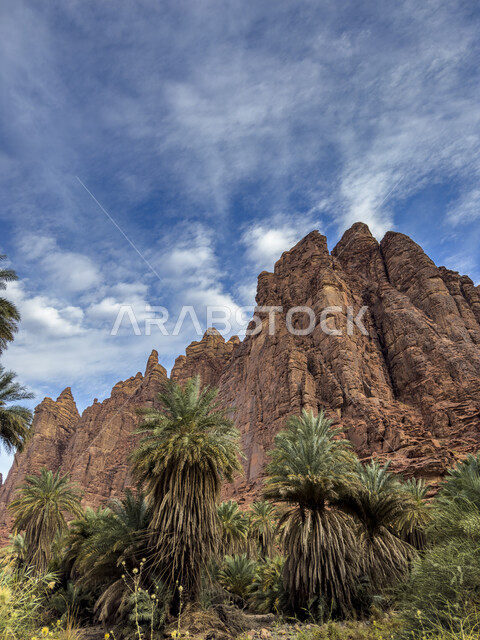 Wadi Al-Disah in Tabuk region during the day, the land of palm trees ...