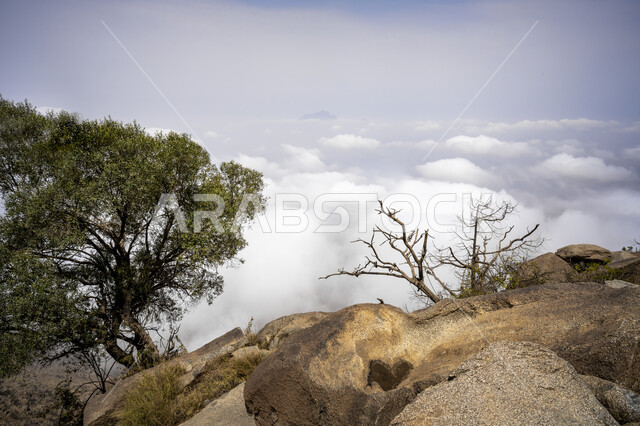 Foggy skies over the Al-Soudah Mountains in Abha, southern Saudi Arabia ...