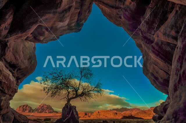 Wadi Al-Disah in Tabuk region during the day, the land of palm trees ...