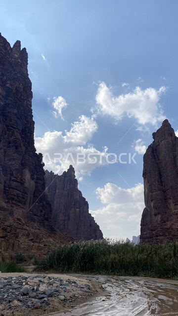 Wadi Al-Disah in Tabuk region during the day, the land of palm trees ...