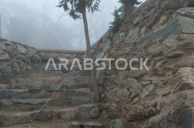 The archaeological village of Dhi Al-Ain in Al-Baha region, the ...