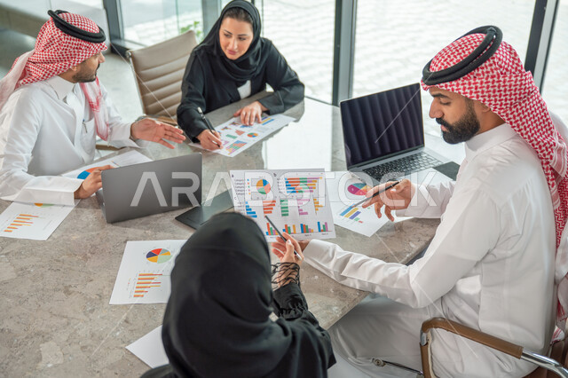 Explaining and analyzing graphs, integrating modern technical devices ...