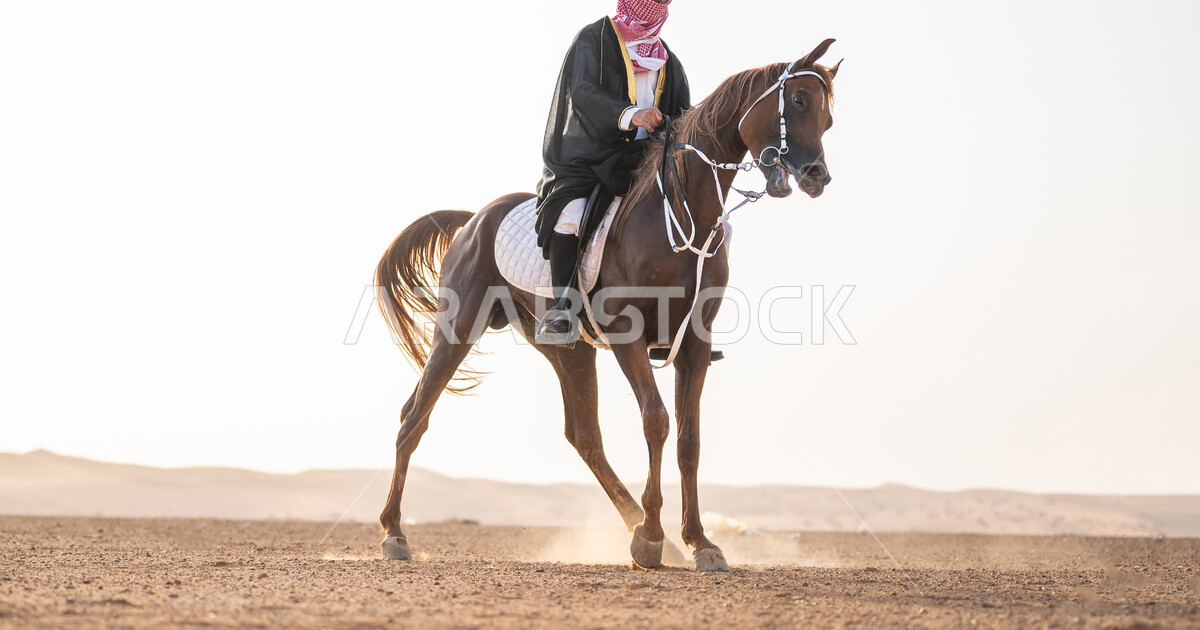A Saudi Gulf rider riding horses in the picturesque Saudi desert in the ...
