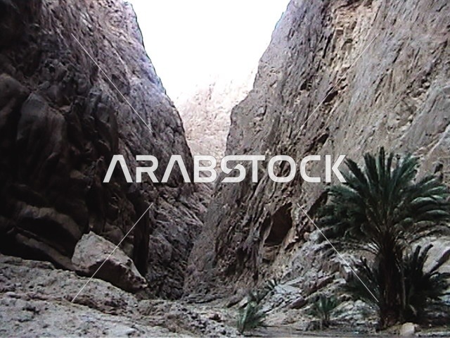 Wadi Al-Disa in the Tabuk region during the day, the land of palm trees ...