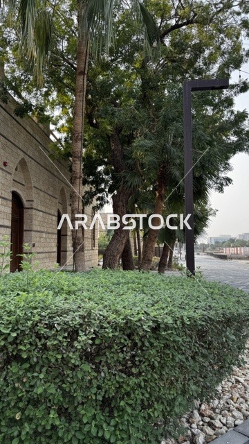 The presence of green plants at the doors of historical houses ...