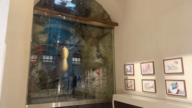 Hand-drawn artwork of marine life, display of rare artifacts telling ...