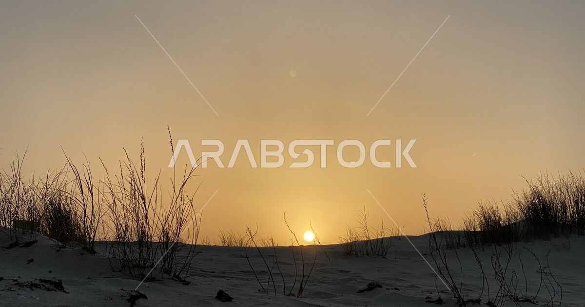 An aesthetic picture of sunset in the desert areas of the Kingdom of ...