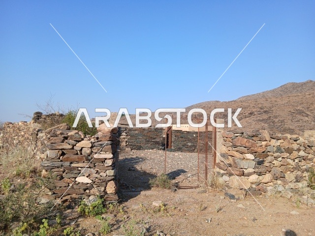 The green plants around the houses and ancient stone buildings in the ...