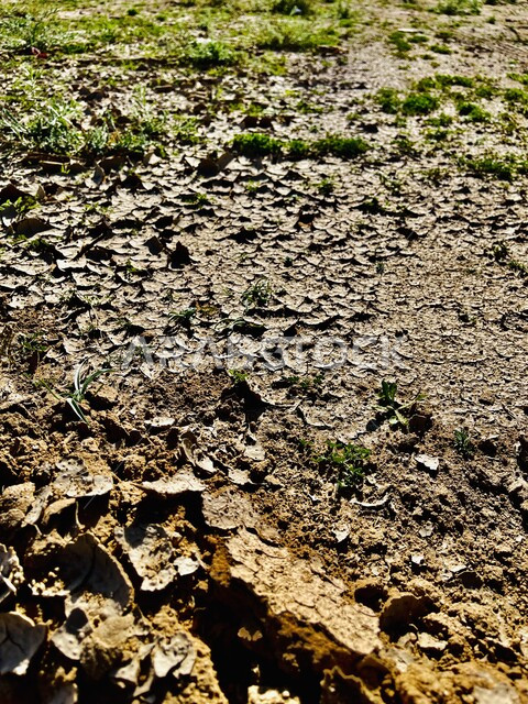Close-up of a dry land in Saudi Arabia, desert nature in Saudi Arabia ...