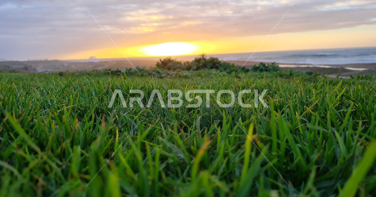 A picture of the picturesque nature in the Kingdom of Saudi Arabia at ...