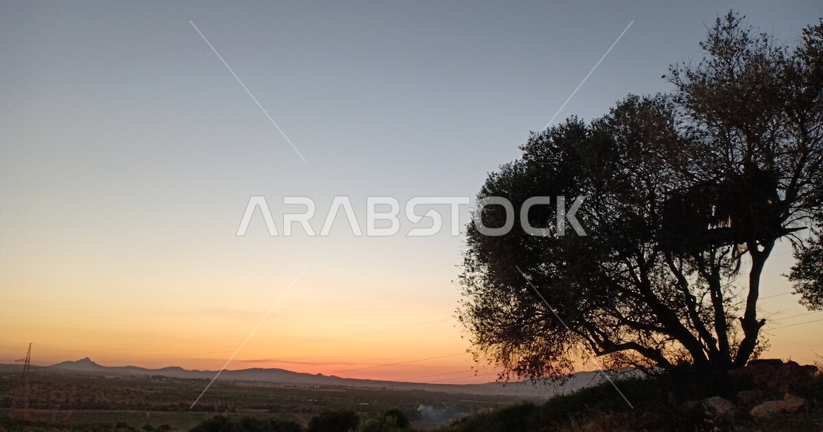 Sunset in the natural areas of Saudi Arabia, sunset view in green ...