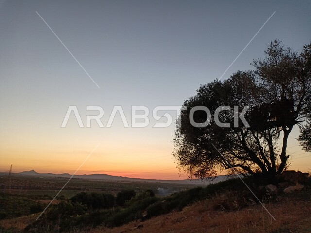 Sunset in the natural areas of Saudi Arabia, sunset view in green ...