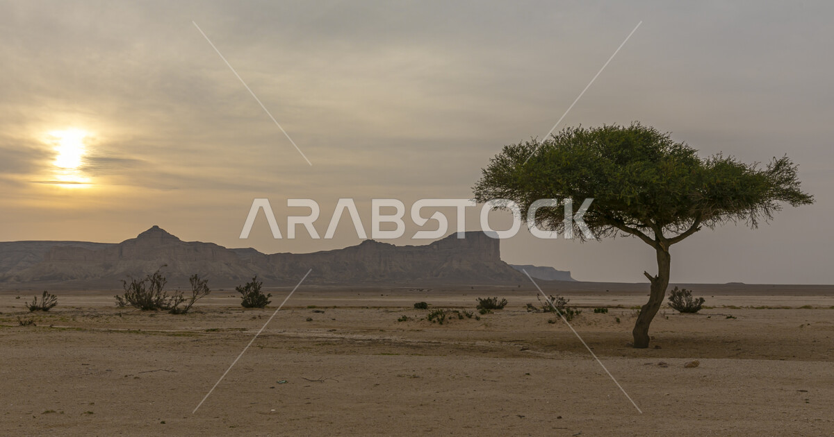 A picture of the Tuwaiq mountains in Najd, the edge of the world in the ...