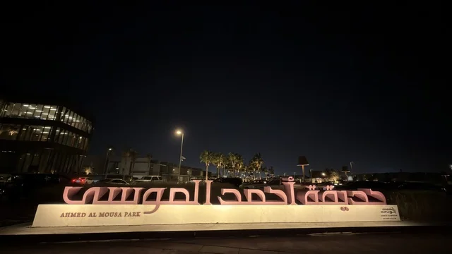 Ahmed Al Mousa Park Illuminated Palm Trees at Night - Photo