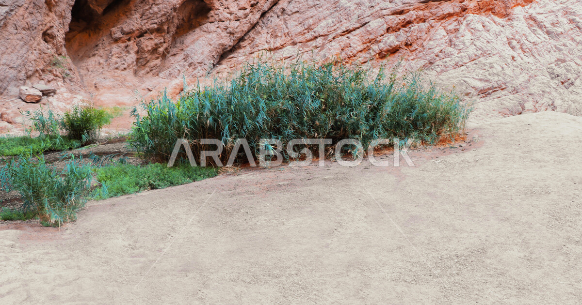 A picture of the Tayeb Asm Mountains in the north of Maqna, west of the ...