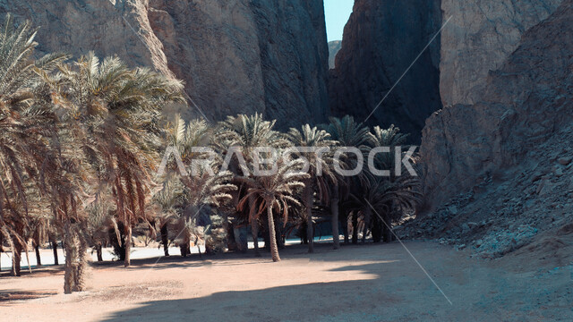 A picture of the Tayeb Asm Mountains in the north of Maqna, west of the ...
