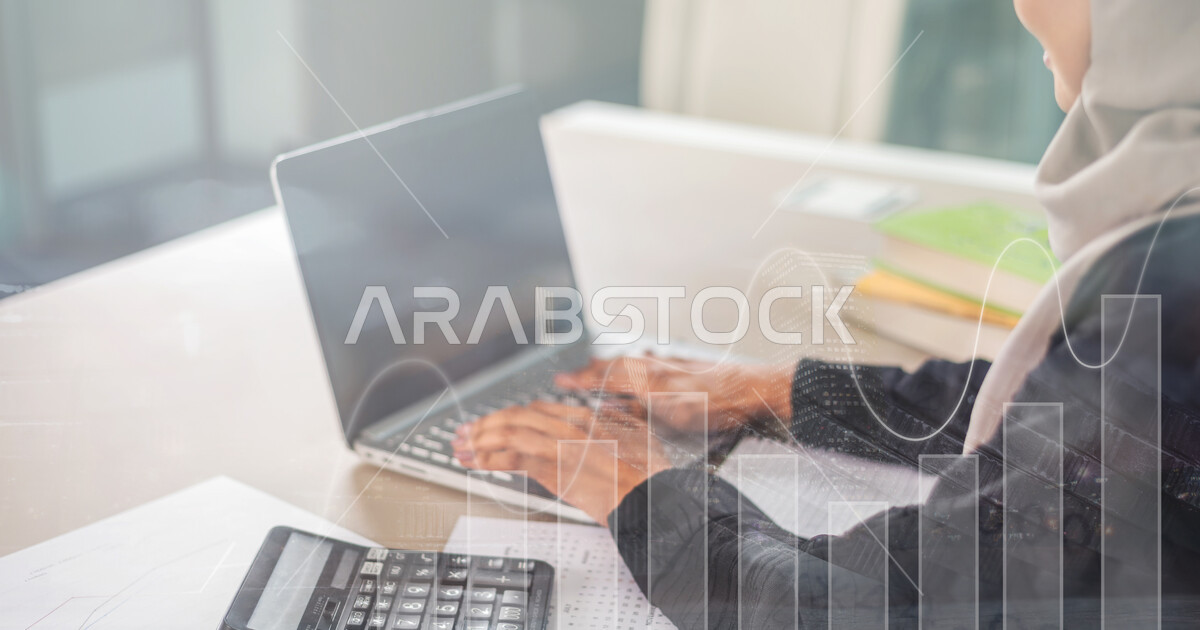An employee of Saudi Arabian Gulf banking systems and databases who ...