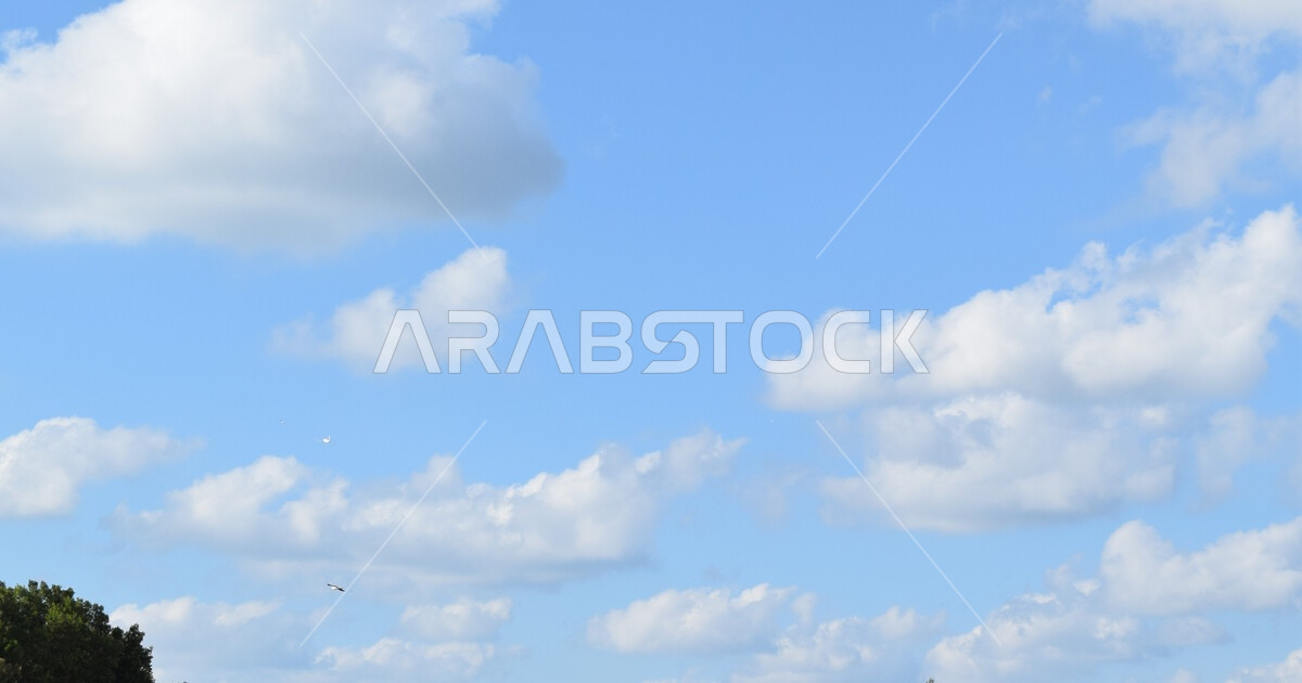 منطقة خور دبي في الإمارات العربية المتحدة، ميناء منطقة خور دبي، مناظر ...