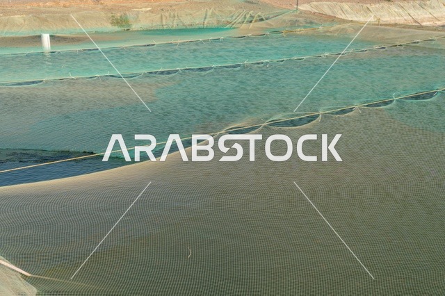 Artificial Aquaculture Fish Farm Water Ponds - Photo